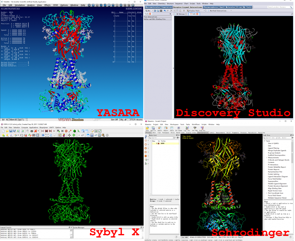 四川魔德科技有限公司成功取得YASARA中国代理权 - 四川魔德科技有限公司