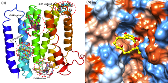 魔德科技案例：玉米蛋白与玉米赤霉烯酮之间的“隐藏”机制研究 - 四川魔德科技有限公司